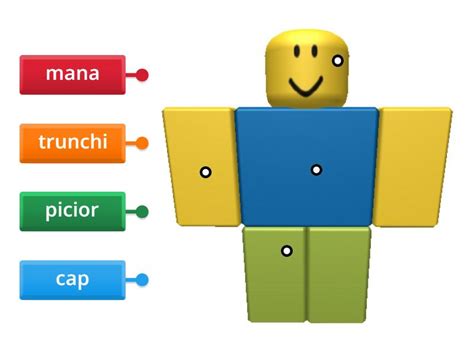 Roblox Caracter Diagramă Etichetată