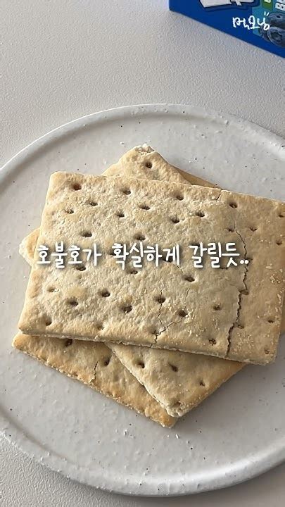 미국에서 아침 식사로 이거를 먹는다고 Youtube