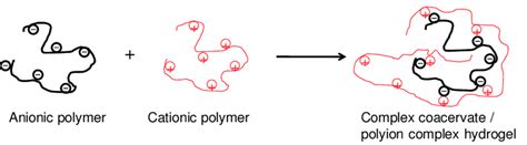 Complex Coacervation Between A Polyanion And A Polycation Download