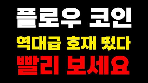 플로우 코인 역대급 호재 떳다 빨리 보세요 Youtube