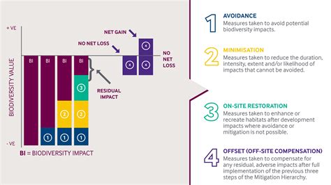 What Is Biodiversity Net Gain And How To Prepare Rps