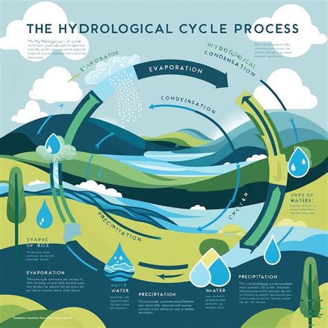 The Hydrological Cycle Process Visually For Learning Course Water Hydrological Cycle Infographic