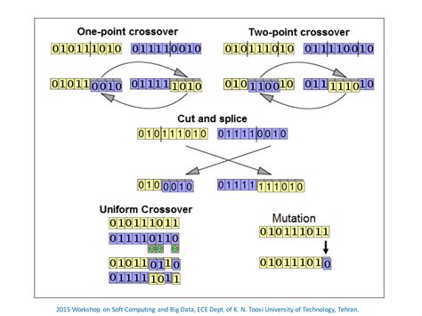 Evolutionary Algorithms Ppt