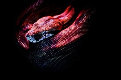 Python Send Email With Smtp Using Smtplib Plus Pypi