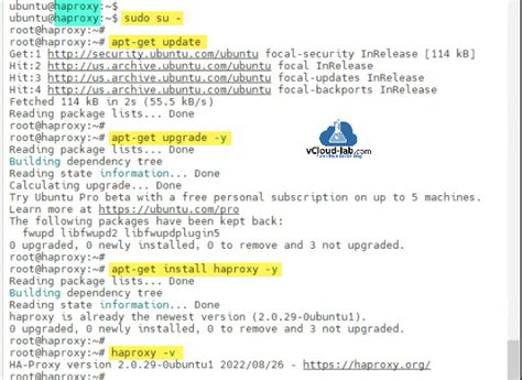setup haproxy for ingress controller kubernetes cluster vgeek tales from real it system