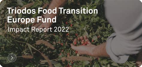 Impact Report 2022 Looking Beyond Tomorrow