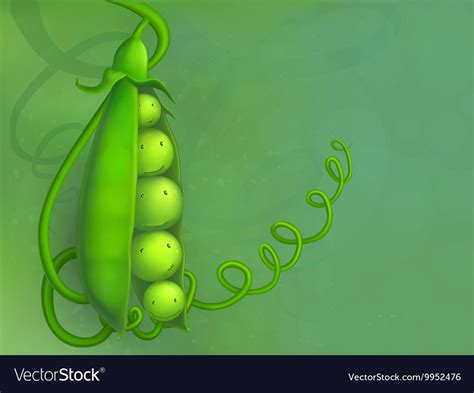 Горошина рисунок - 60 фото