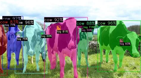 Zero Shot Object Detection With Detic