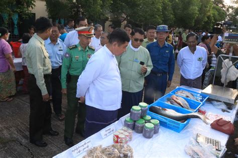 မွန်ပြည်နယ်ဝန်ကြီးချုပ် ဦးအောင်ကြည်သိန်း၊ ပညာရေးဒီဂရီကောလိပ် မော်လမြိုင် နှင့် အစိုးရစက်မှုလက်မ