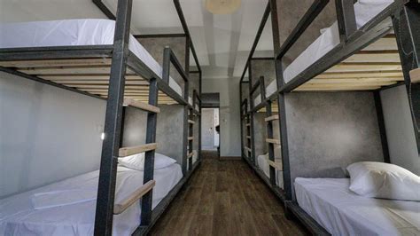 Athens Hawks An Amazing Hostel Experience