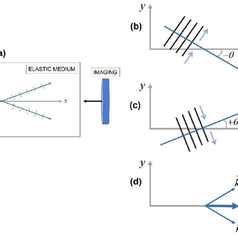 Propagation Of Lamb Waves In Tissues A Thin Plate Type Tissue