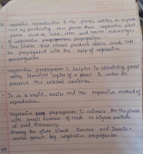 What Is Vegetative Propagation Class 12 At Evie Rounsevell Blog