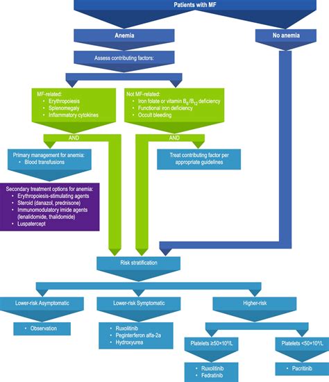 Hematology Disease Flow Chart Differential Algorithm For The Causes Of