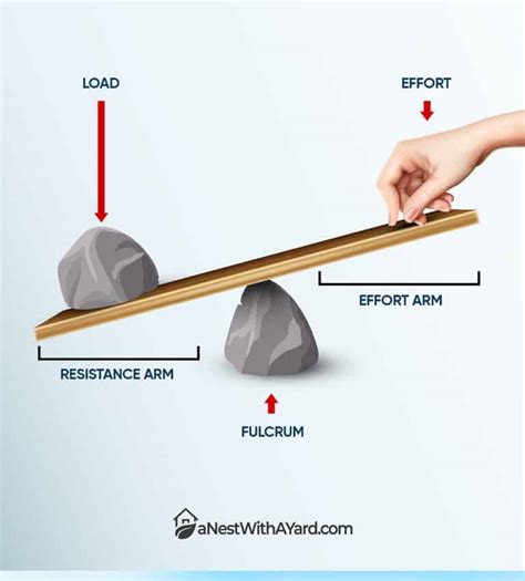 How To Remove Rocks From Yard And Soil 2024 A Nest With A Yard
