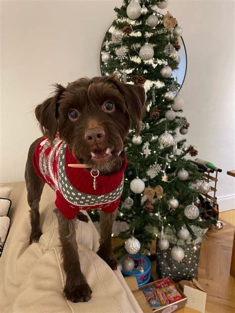 Victoria Simhan On Linkedin Hiringmagic Talentsleighride