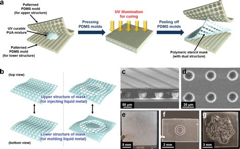 A Schematic Illustration Of The Preparation Of Polymeric Stencil Mask Download Scientific