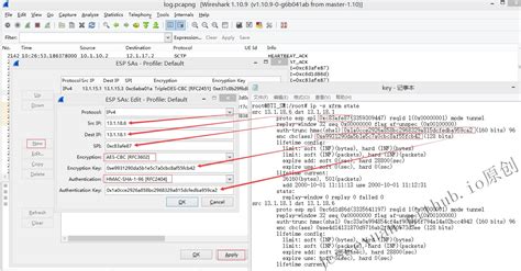 Ipsec Esp Wireshark解包 顶呱呱自留地！！！