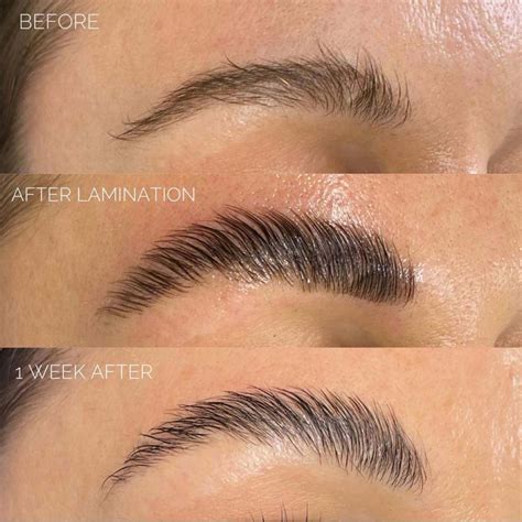 Brow Lamination After 1 Week What You Can Expect