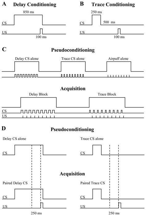 The Temporal Relationship Between The Cs And Us In Both Delay And Trace Download Scientific