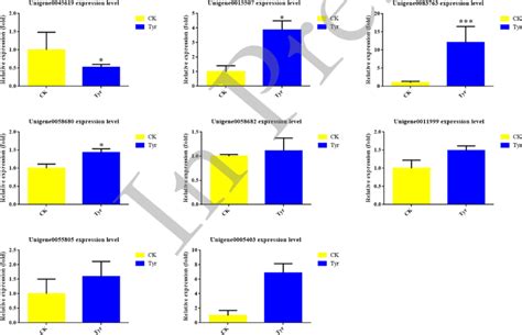 The Relative Expression Levels Of Anthocyanin Biosynthesis And Download Scientific Diagram