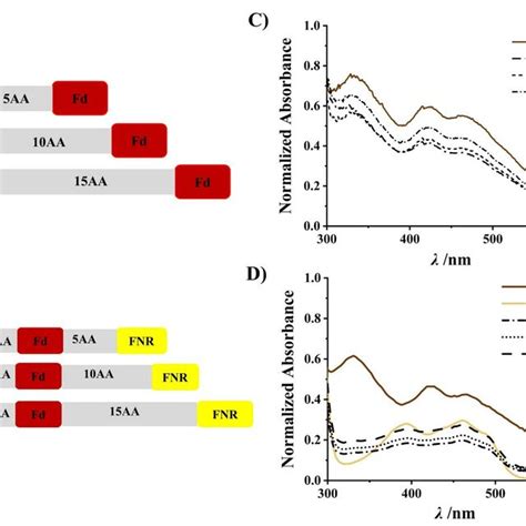 Design And Spectral Characterization Of E7 Fd Ef And E7 Fd Fnr Eff