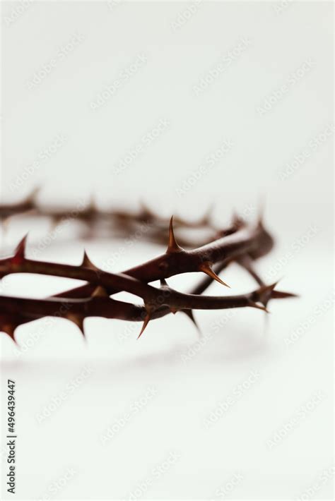 예수그리스도의 십자가 희생과 고난과 부활을 상징하는 가시면류관 그리고 밝은 배경 스톡 사진 Adobe Stock