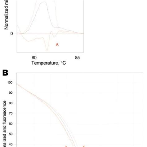 Real Time Pcr High Resolution Melting Assay A Highresolution Melt Download Scientific Diagram
