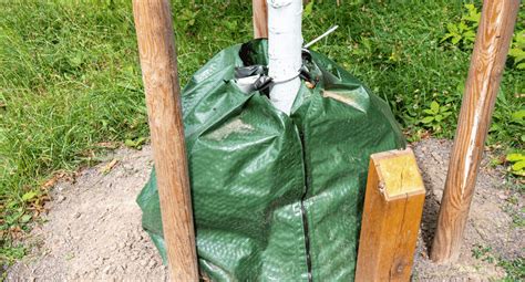 Tree Watering Bags Strobert Tree Services
