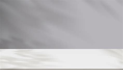 회색 배경 스튜디오와 빛 시멘트 바닥에 그림자 나뭇잎 가을 가 제품 프리젠 테이션 벡터 최소 장면 디스플레이 벽 룸 크림 컬러 스탠드 모형에 대한 배너 그림자에 대한 스톡