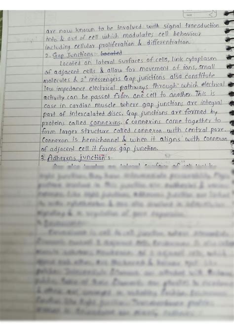 Solution Types Of Intercellular Junctions Studypool