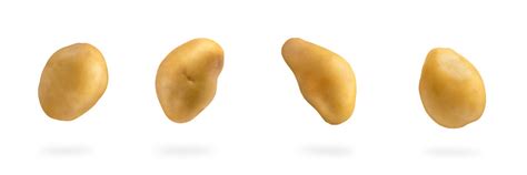 흰색 배경에 고립 된 신선한 껍질을 벗기지 않은 감자 흰색 고립 된 배경에 감자를 비행그림자를 캐스팅 0명에 대한 스톡 사진 및 기타 이미지 Istock