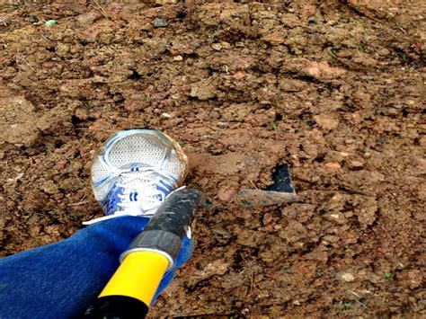 How To Amend Clay Soil