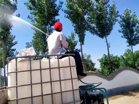 林果科技大讲堂：如何防治第三代美国白蛾 石家庄市 防控 组织