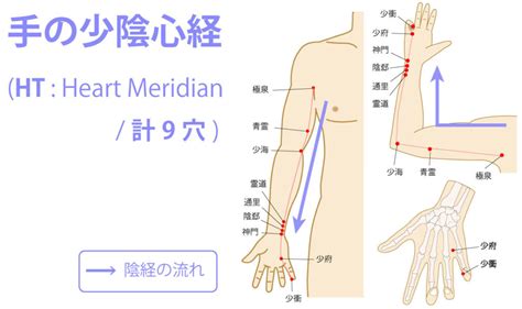 手の少陰心経しょういんしんけいHeart Meridian