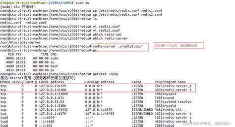 Redis数据库（六）：主从复制和缓存穿透及雪崩主从复制缓存穿透与雪崩 Csdn博客