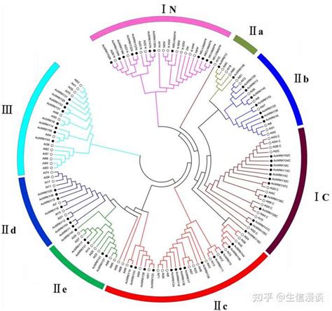 怎么利用一个物种的一个基因序列和名称查找该基因的基因家族？ 知乎