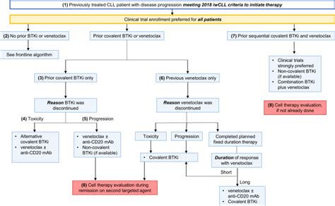 Chronic Lymphocytic Leukemia Treatment Algorithm 2022 Pmc