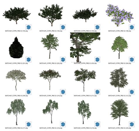 7586 Free Sketchup Trees Models 7586 Free Sketchup Trees Models