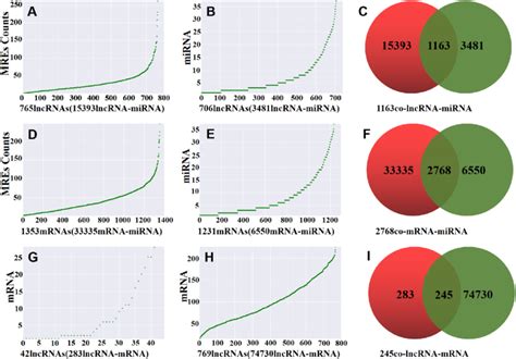 The Differential Expressed Gene Analysis The Differential Expressed