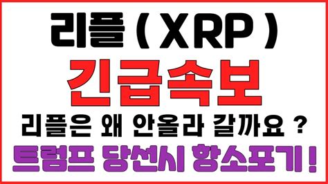 리플코인 긴급속보 리플은 왜 안올라 갈까요 트럼프 당선시 항소포기 불독코인프리세일코인시바이누코인리플이더리움도지코인코인단타사면가tv Youtube