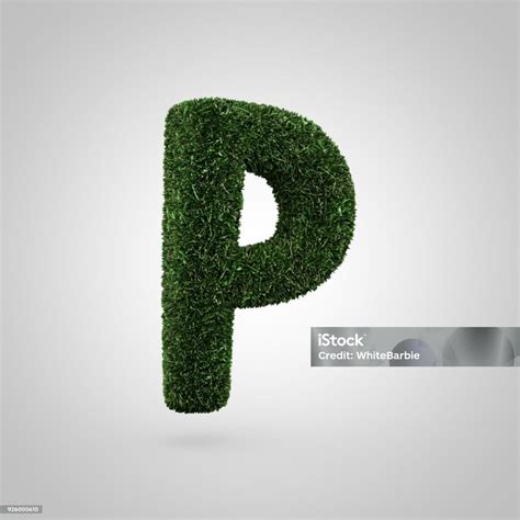 잔디 글자 대문자 P 흰색 배경에 고립 0명에 대한 스톡 사진 및 기타 이미지 0명 3차원 형태 개념 Istock