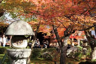京都 円光寺