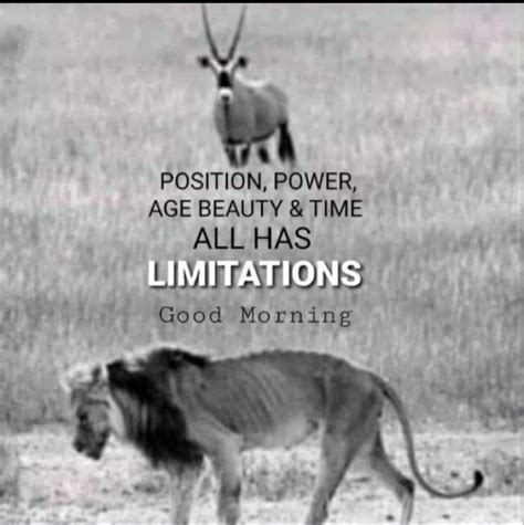 Dr Jignesh Shah On Linkedin Gratitude