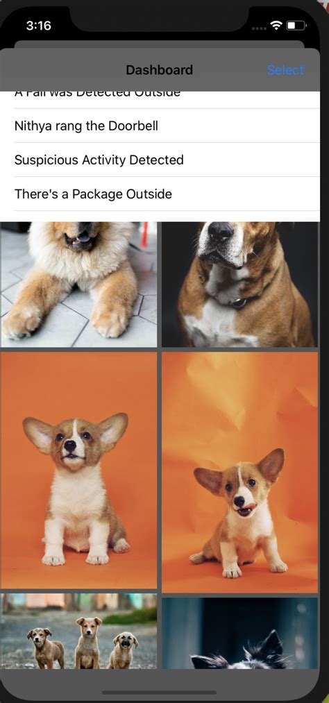 Github Roshni Capstonepracticeapp Senior Capstone Practice Creating An Ios App By Using