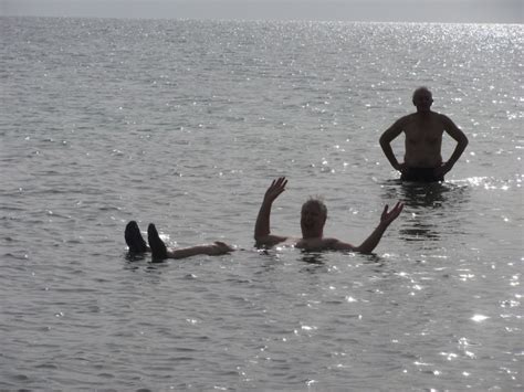 DAMO NLP SG VL Syn M Datasets At Hugging Face