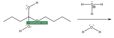 Solved Select Atom Act The Acid Atom Acts The Base Chegg Com
