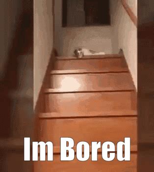 Im Bored  Im Bored Discover And Share S