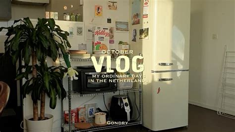 Eng 네덜란드 일상 브이로그 가을맞이 집 구조 바꾸기and별거 없는 룸투어 친구네 집 고양이 돌봐주고 마트에서 장보기 비밀의 숲 채식버거 Netherlands