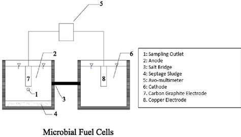 Figure 1 From The Effect Of Septage Sludge And Oxidizing Agents In The