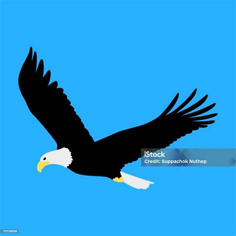 독수리는 날개를 펼치고 날아 내려다 보고 귀여운 심볼 스타일 심플한 디자인 검은 색 흰색 및 노란색 독수리에 대한 스톡 벡터 아트 및 기타 이미지 Istock